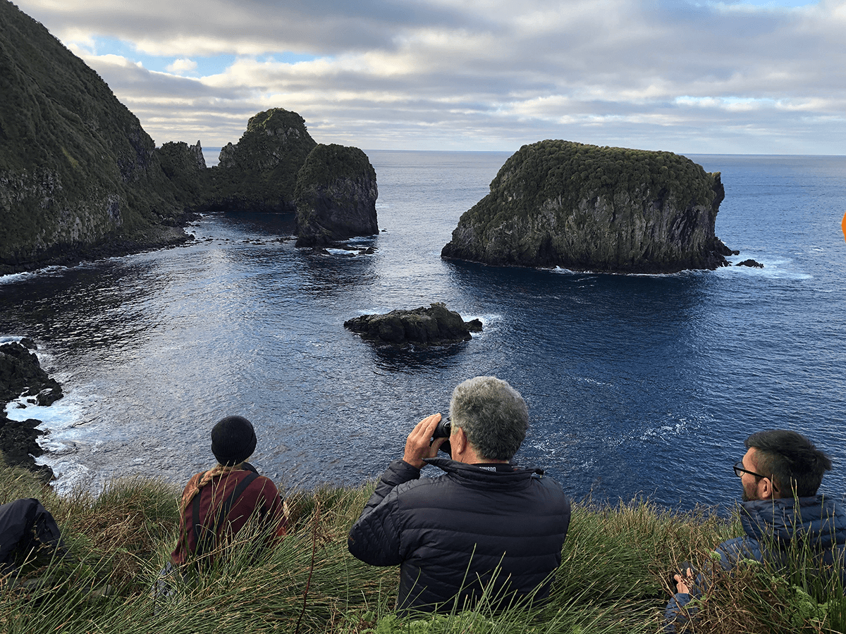 Gough Island Restoration Programme – The Jolly Geo joins on! | The ...